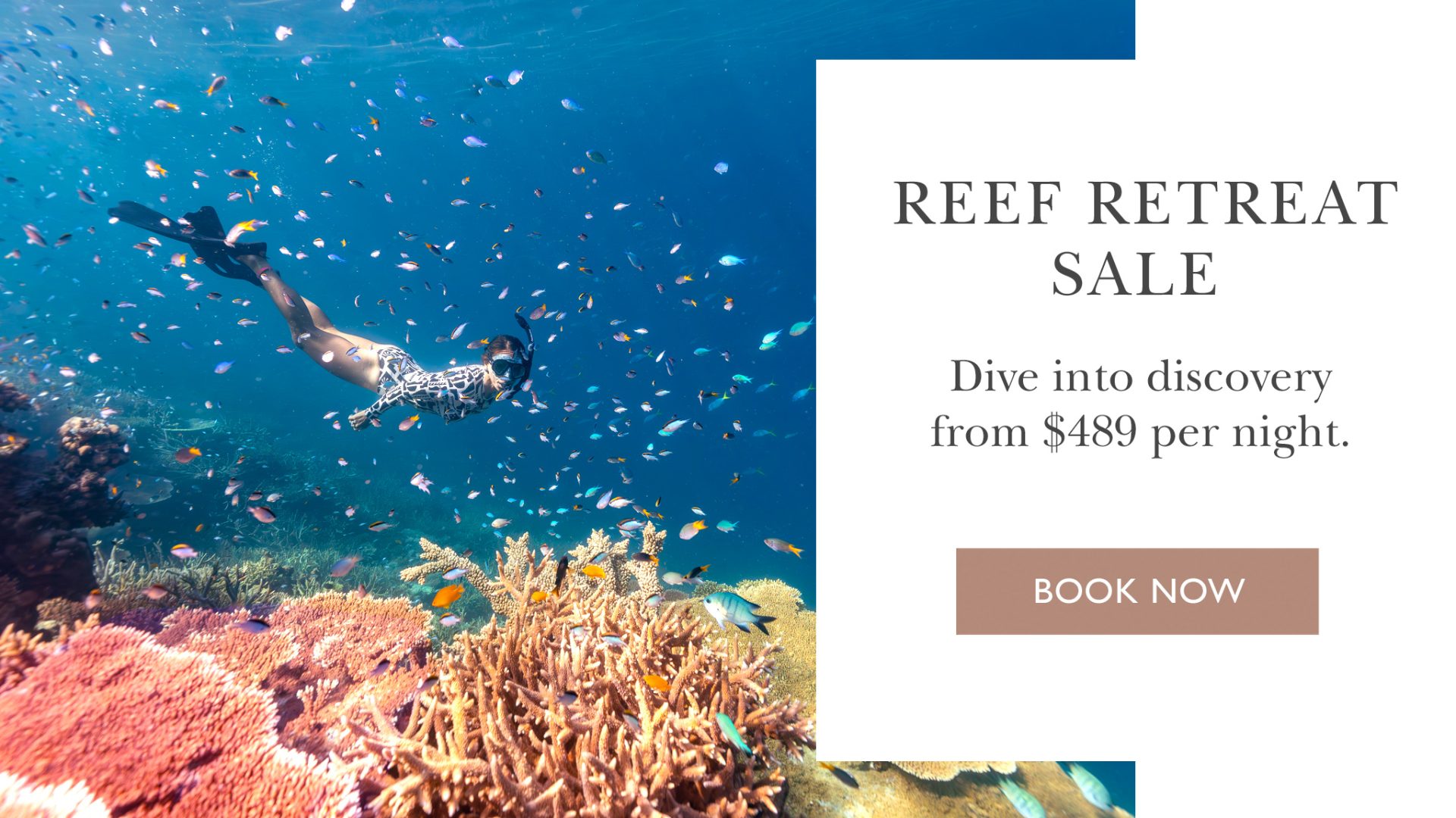 Hayman Island Resort | Hayman Island